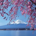 Tokyo 10-Hour Arakurayama, Oishi Park & Lake Yamanaka Group Tour - The Practicalities: What to Expect and How to Prepare