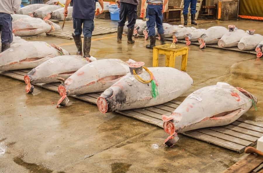 Tokyo: 4-Hour Tsukiji Market & Asakusa Old Town Tour - Exploring Senso-ji Temple and Nakamise Street