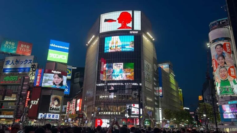 Tokyo: 4 Hours Shibuya - Shinjuku Night Tour - What to Expect Throughout