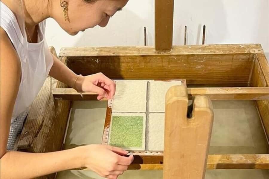 Tokyo 5hr Private Guided Tour & Washi Papermaking - The Value & Practicalities