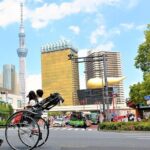 Tokyo 6 hr Private Guided Tour & Rickshaw Experience - Who Will Love This Tour?