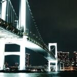 Tokyo After Dark Scenic Night Tour - The Practicalities: Transport, Guides, and Value