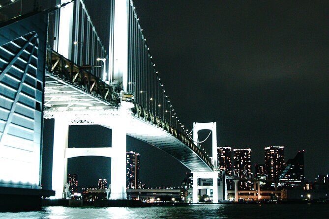 Tokyo After Dark Scenic Night Tour - The Practicalities: Transport, Guides, and Value