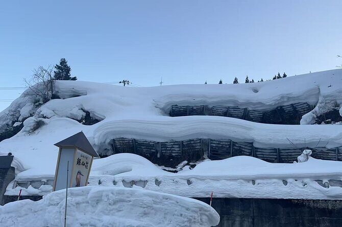 Tokyo Airport Nagano Transfer - The Itinerary Breakdown: What to Expect