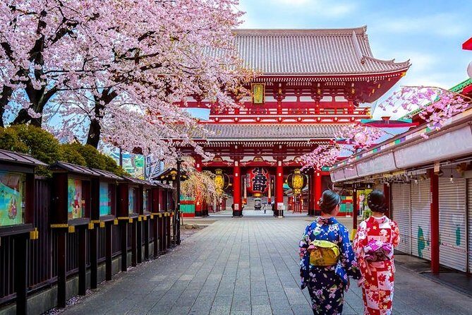 Tokyo Airport Transfers: Tokyo City to Tokyo-Narita Airport NRT in Luxury Van - Detailed Breakdown of the Experience