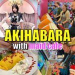 Tokyo: Akihabara Anime, Manga & Games Tour + Princess Café - What You’ll Experience on this Tour