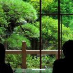 Tokyo: Amazing Shibamata - Practicalities and Value