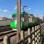 Tokyo: An Unique temple Walking Tour for cat lovers - Authentic Experiences and Traveler Feedback