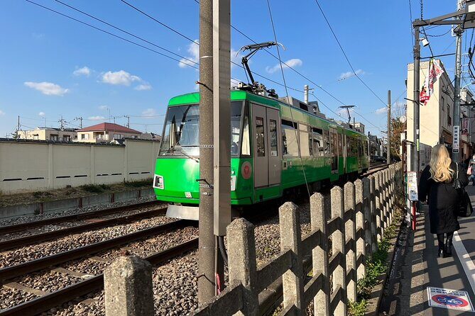 Tokyo: An Unique temple Walking Tour for cat lovers - Authentic Experiences and Traveler Feedback