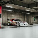 Tokyo and Daikoku Fast and Furious Skyline 34 - Who Will Love This Tour?