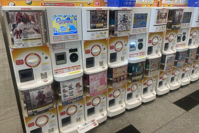Tokyo Anime and Game Shopping Tour in Ikebukuro - Practical Details & What to Expect