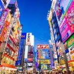 Tokyo Arrival Private Transfers from Tokyo-Narita Airport NRT to Tokyo City - The Cost & Its Value