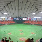 Tokyo Baseball Experience Tour with Expert English-Speaking Guide - The Guided Tour: Education and Enthusiasm