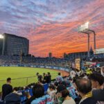 Tokyo: Baseball Game Experience with Local Guide & Snacks - Detailed Breakdown of the Itinerary