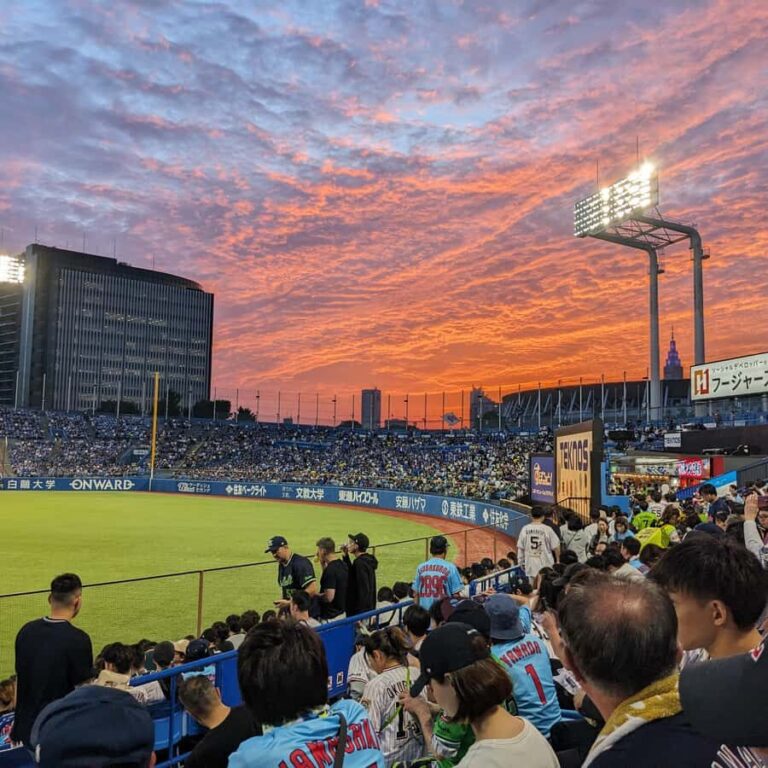 Tokyo: Baseball Game Experience with Local Guide & Snacks - Detailed Breakdown of the Itinerary