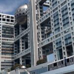 Tokyo Bay and Tsukiji Fish Market - The Sum Up