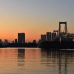 Tokyo Bay, Ginza & Shinbashi by Night 2.5 Hrs - What Makes This Tour Stand Out?