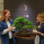 Tokyo: Bonsai Making Experience with Bonsai Master - Final Thoughts