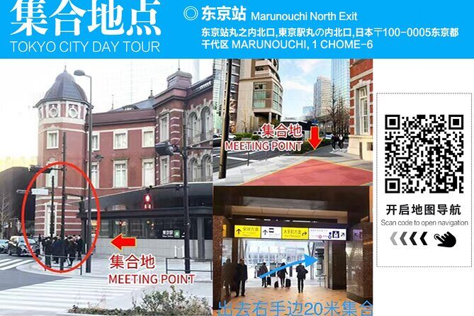 Tokyo: Bus Tour to Kamakura Great Buddha & Enoshima with Pickup - What We Love About This Tour