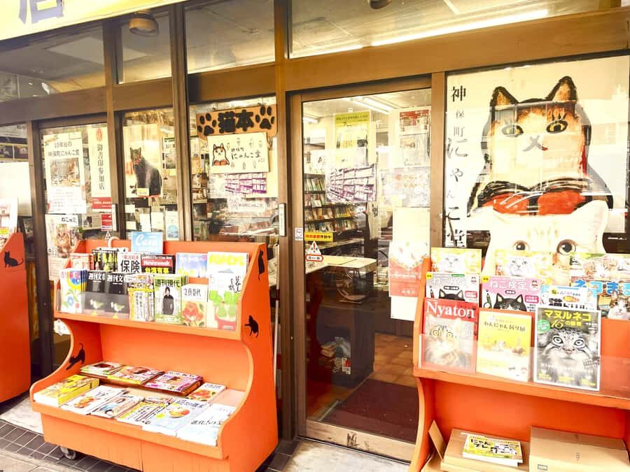 Tokyo: Cat-themed Bookstore & Shinjuku Cat cafe Night Tour - Relaxing at Japan’s Largest Cat Lounge