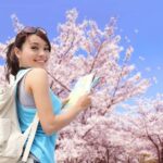 Tokyo: Cherry Blossom Full-Day Tour with Local Expert Guide - Final Thoughts: Who Should Join?