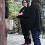 Tokyo: Chichibu Valley Driving Tour to Buddhist Temples - An In-Depth Look at the Chichibu Valley Tour