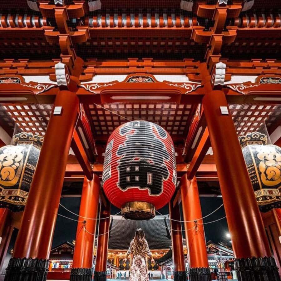 Tokyo City Private Day Tour By English Speaking Driver - Key Points