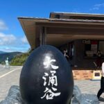 Tokyo city private ride - custom Destinations - An In-Depth Look at the Tokyo Private Ride Experience