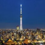 Tokyo City Transfer to Tokyo Disneyland Private Car Adventure - The Practicalities