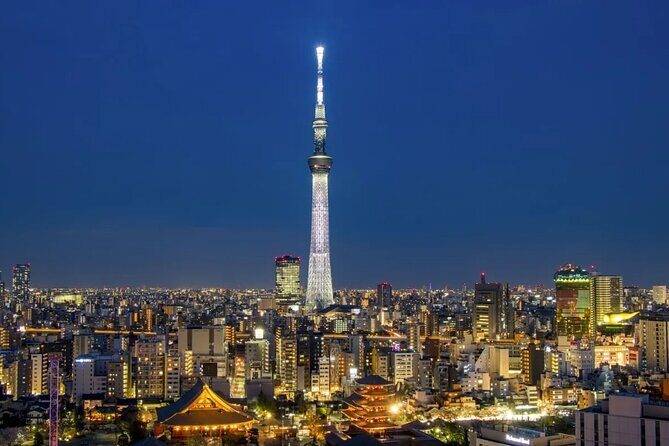 Tokyo City Transfer to Tokyo Disneyland Private Car Adventure - The Practicalities