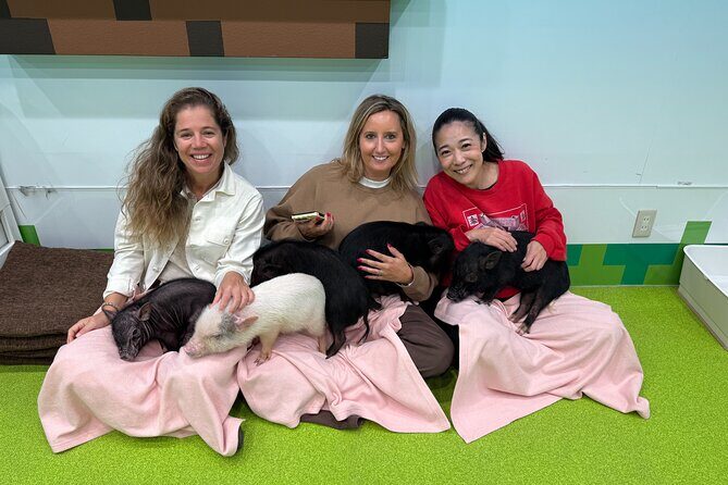 Tokyo: Customized Private Walking Tour with Hitomy _5hrs - What’s Included and What’s Not