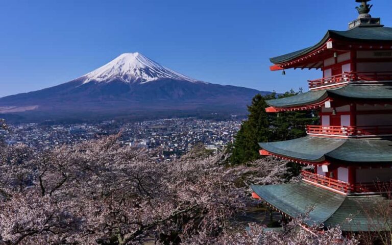 Tokyo day trip -Mount Fuji Private Tour from Tokyo - Key Points