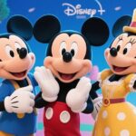 Tokyo Disneyland: 1-Day Ticket & Private Hotel Transfer - The Transportation Experience
