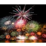 Tokyo Disneyland Shared Transfer : from Tokyo to Disneyland (One Way) - Frequently Asked Questions