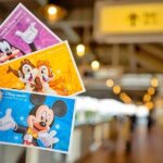 Tokyo Disneyland Ticket & Tokyo Subway Pass - How the Subway Pass Adds Value