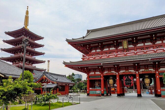 Tokyo Early Morning Walking Tour (It`s a new tour!) - Real Traveler Insights and Expectations