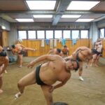 Tokyo: Exclusive Access to Sumo Morning Practice with Photos - A Detailed Look at the Experience