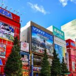 Tokyo Family Fun: Meiji Shrine and Sanrio Puroland Private Tour - Exploring the Itinerary in Detail