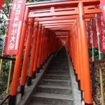 Tokyo: Feng Shui, Red Torii & Neon Private Tour - Transportation, Duration, and Practicalities