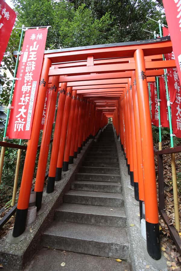 Tokyo: Feng Shui, Red Torii & Neon Private Tour - Transportation, Duration, and Practicalities