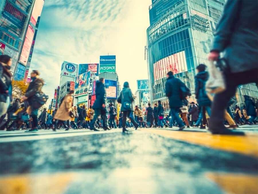 Tokyo Food & Culture Private Tour & Authentic Yakitori Lunch - Who Will Love This Tour?