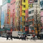 Tokyo Full Day Asakusa, Akihabara, Harajuku and Shinjuku - Final Thoughts