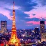 Tokyo Full Day Customizable Private Tour with English Guide - The Value of a Private, Customizable Day