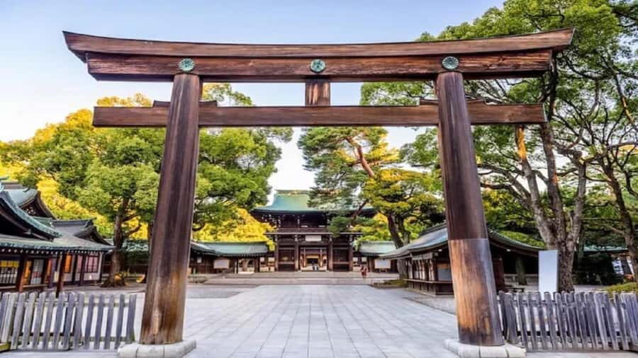 Tokyo Full Day Customizable Private Tour with English Guide - The Balance of Spiritual and Urban Experiences