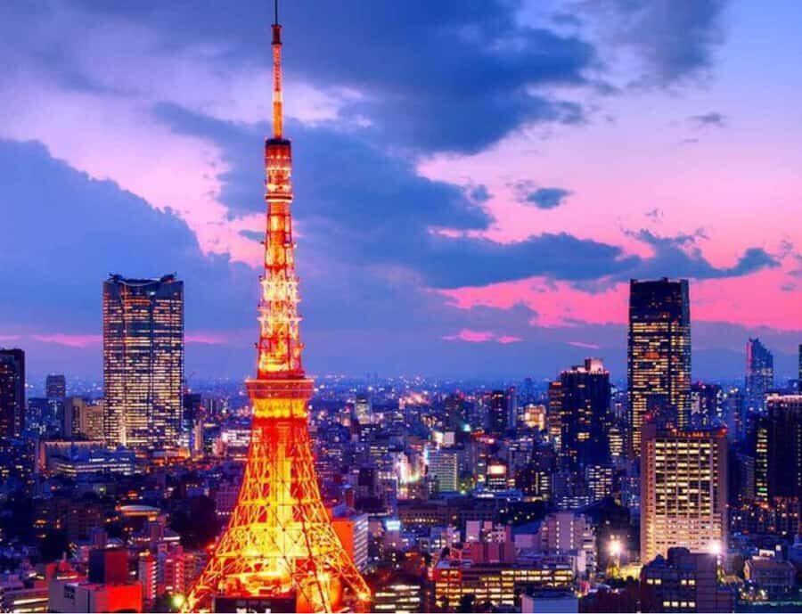 Tokyo Full Day Customizable Private Tour with English Guide - The Value of a Private, Customizable Day