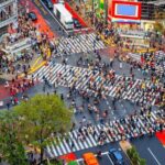 Tokyo Full Day Private City Tour - Exploring Shibuya – The Heart of Modern Tokyo