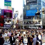 Tokyo Full-Day Private Customizable Tour with English guide - Exploring Tokyo with a Private, Fully Customizable Touch