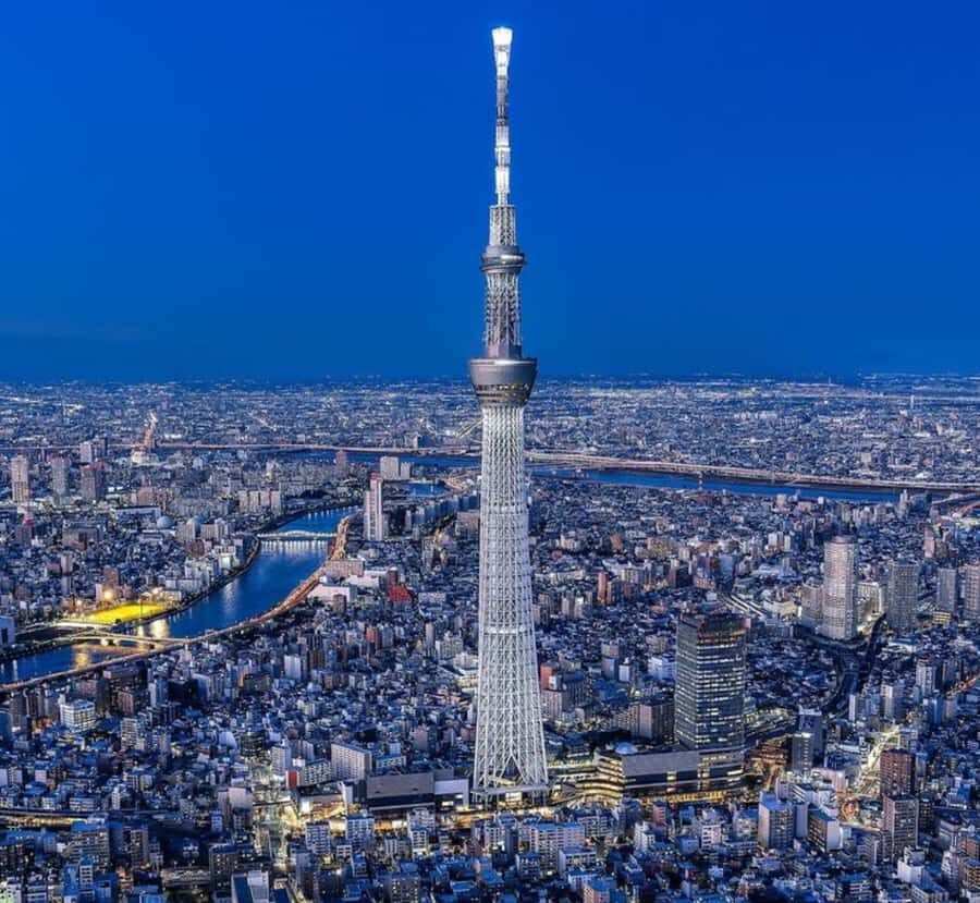 Tokyo Full Day Private Day Tour with English Speaking Guide - Why This Tour Offers Good Value