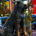 Tokyo Full-Day Private Walking Tour  Fully Personalized - What Makes the Private Customization Special?