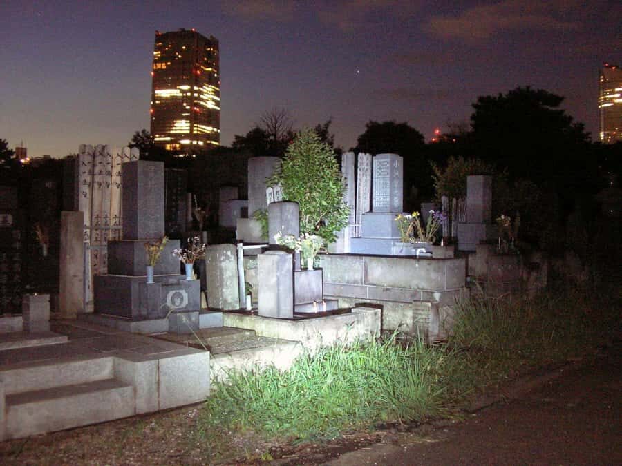 Tokyo Ghost Tour: Dark Tales, Urban Legends & Cemetery Night - Practical Details and Experience Quality